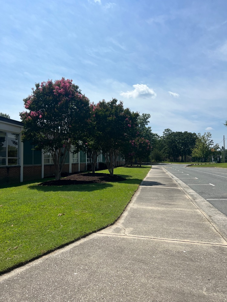 Live Feed | Turrentine Middle School